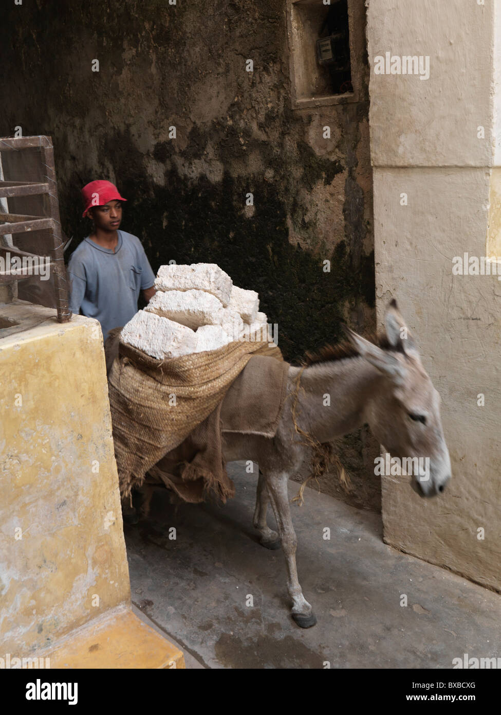 Man walking donkey hi-res stock photography and images - Alamy
