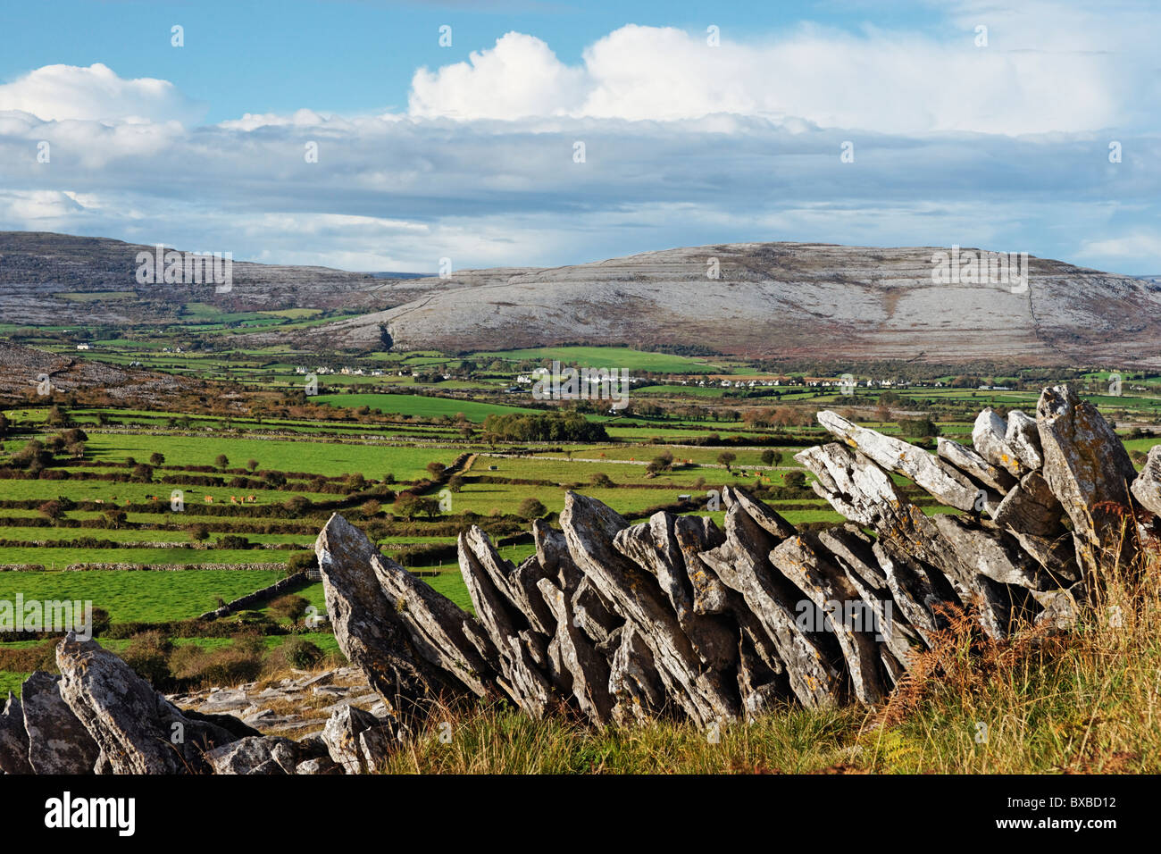 View over a dry stone wall to Moneen Mountain, the Burren, County Clare ...