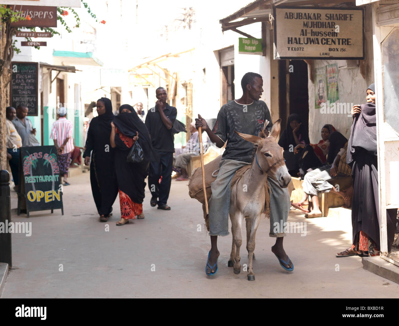 Man riding his donkey in Lamu Town, Africa Stock Photo - Alamy