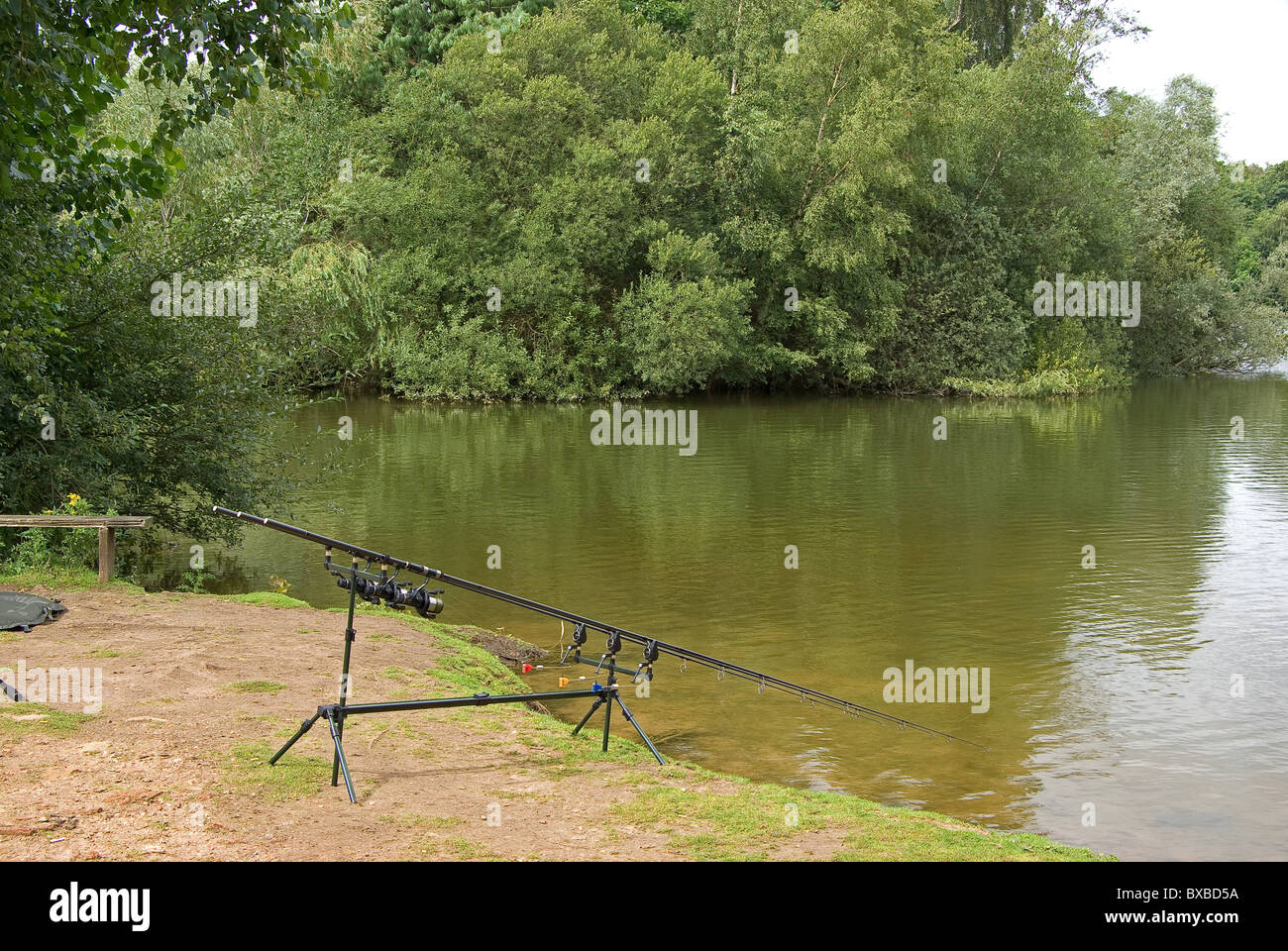 Three rod setup at Woodland Waters Stock Photo - Alamy