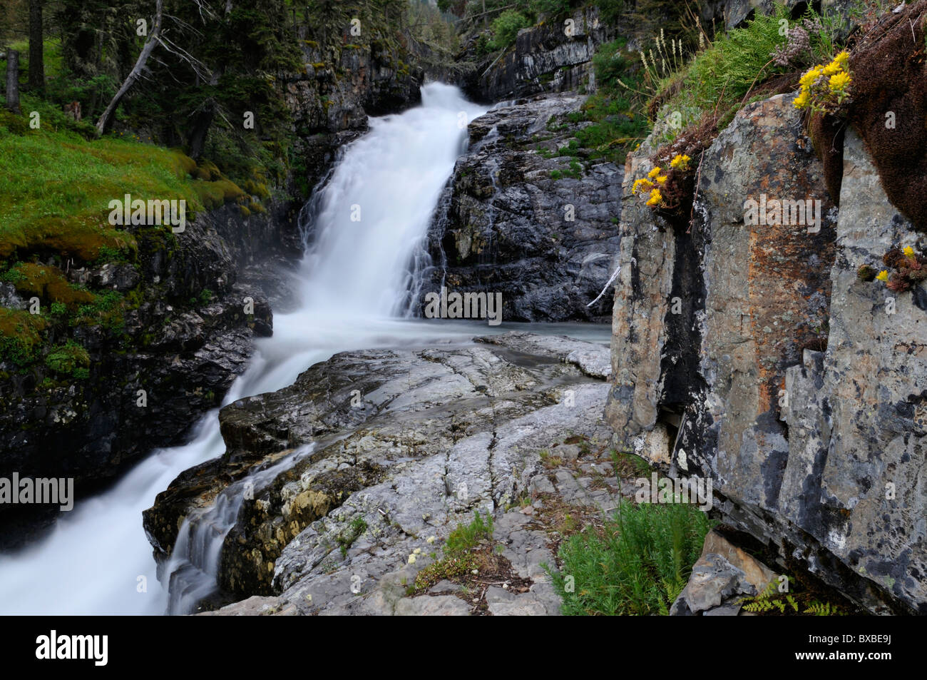 Big Timber Creek, Montana Stock Photo - Alamy