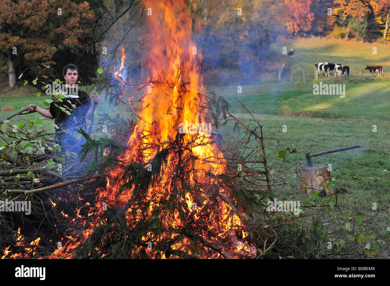 Boy making huge fire by burning prunings / trimmings on farm, Ardennes ...