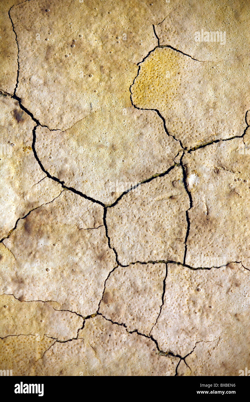 Close texture view of some dried out ground with many cracks Stock ...