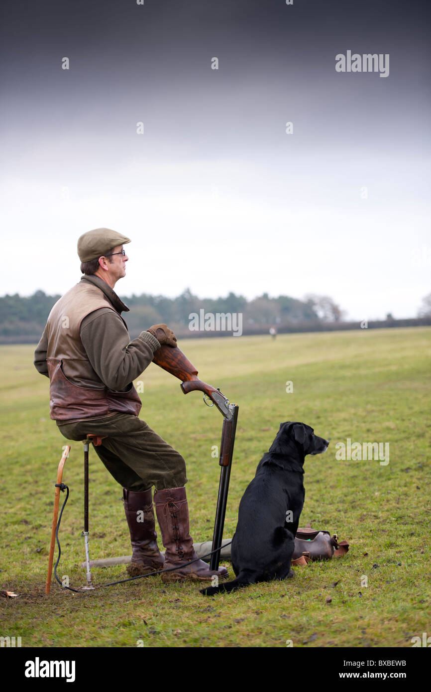 The Pheasant Shoot Stock Photo - Alamy