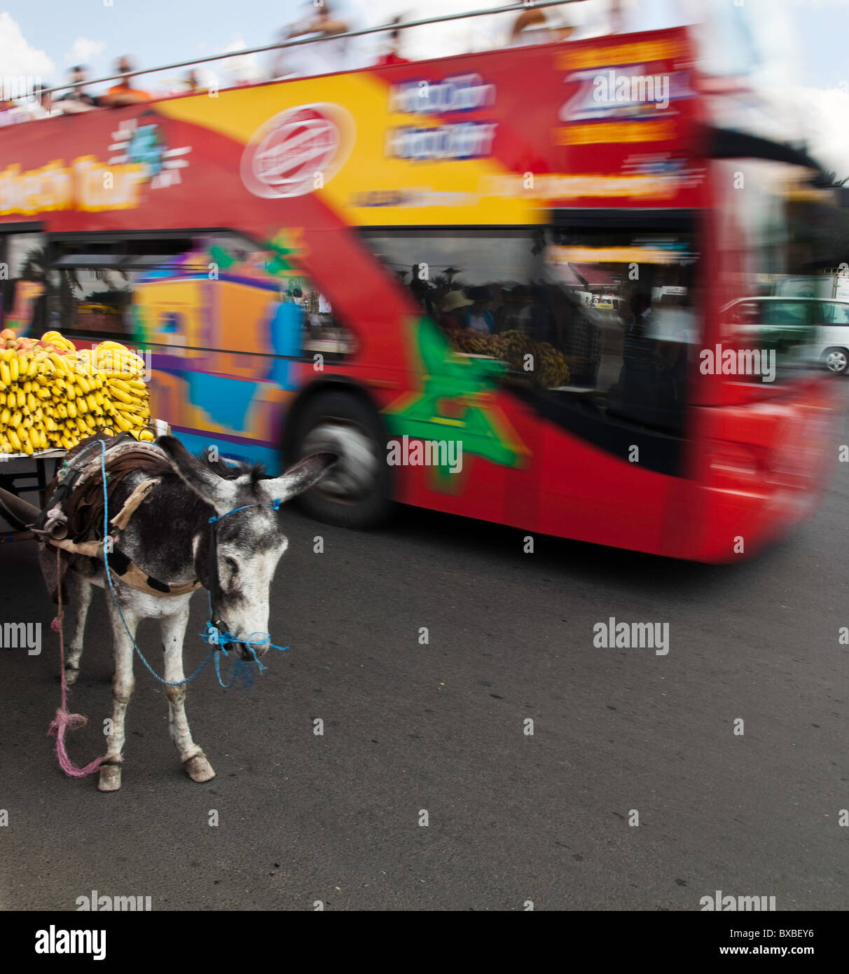 Donkey tour bus hi-res stock photography and images - Alamy