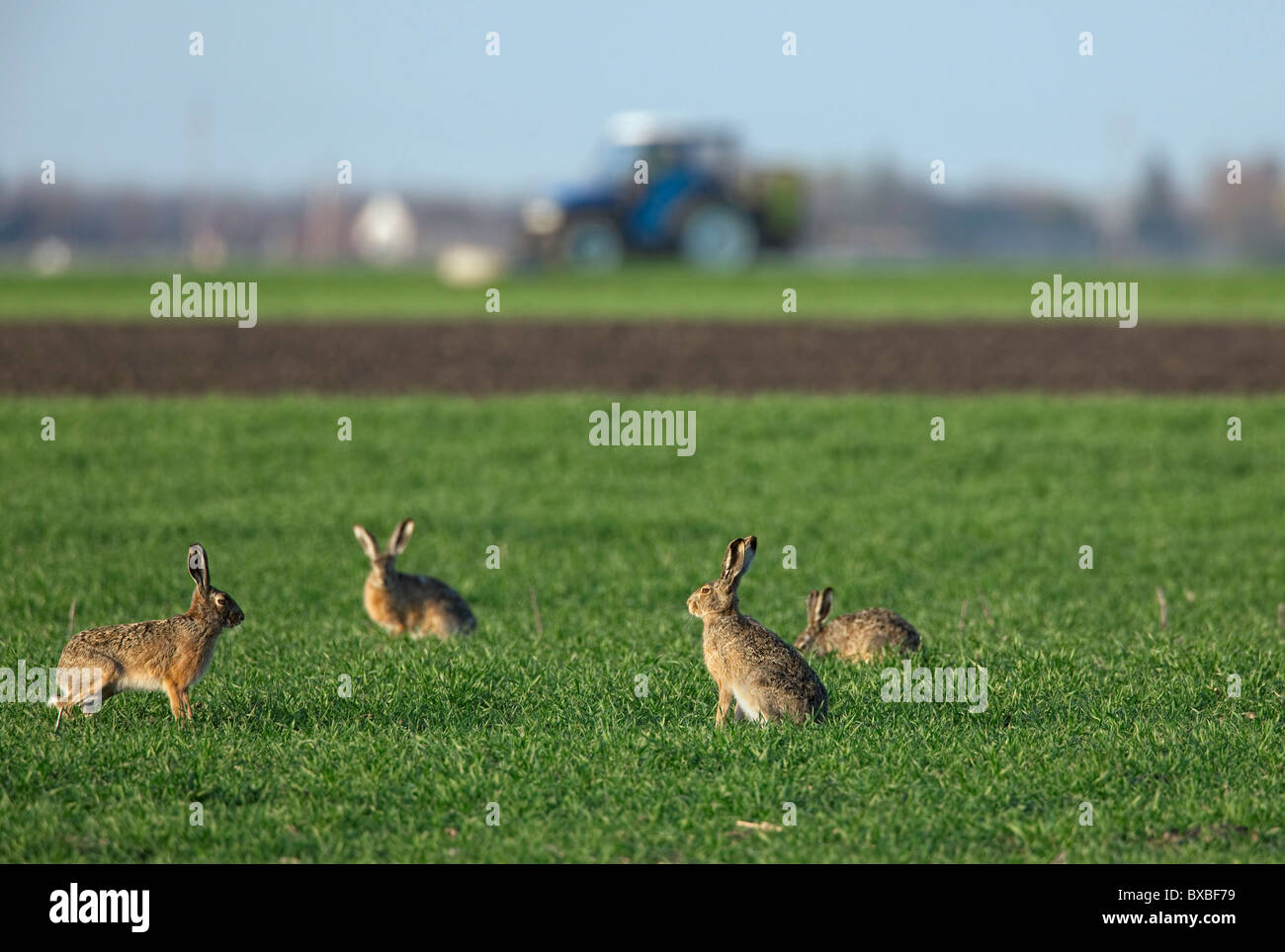Germanymale hi-res stock photography and images - Alamy
