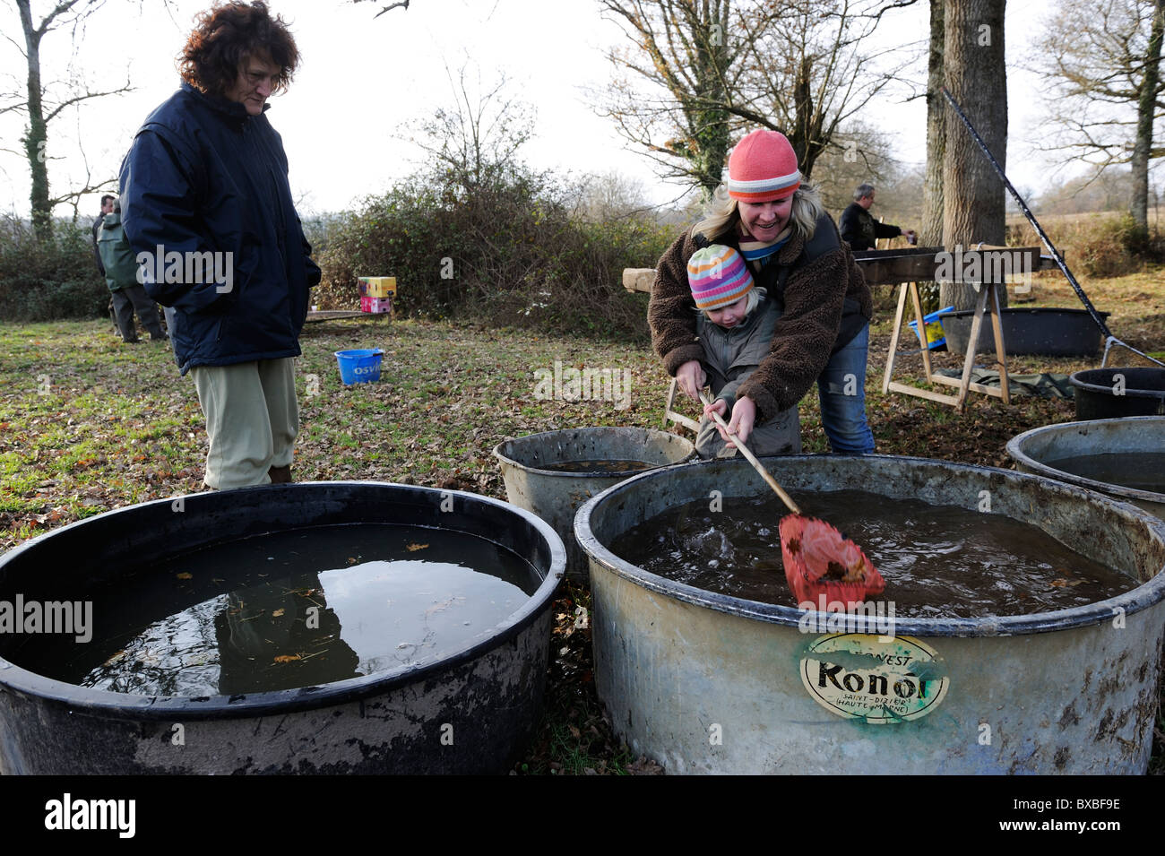 Child helping to sort the fish after the lake had been emptied and ...