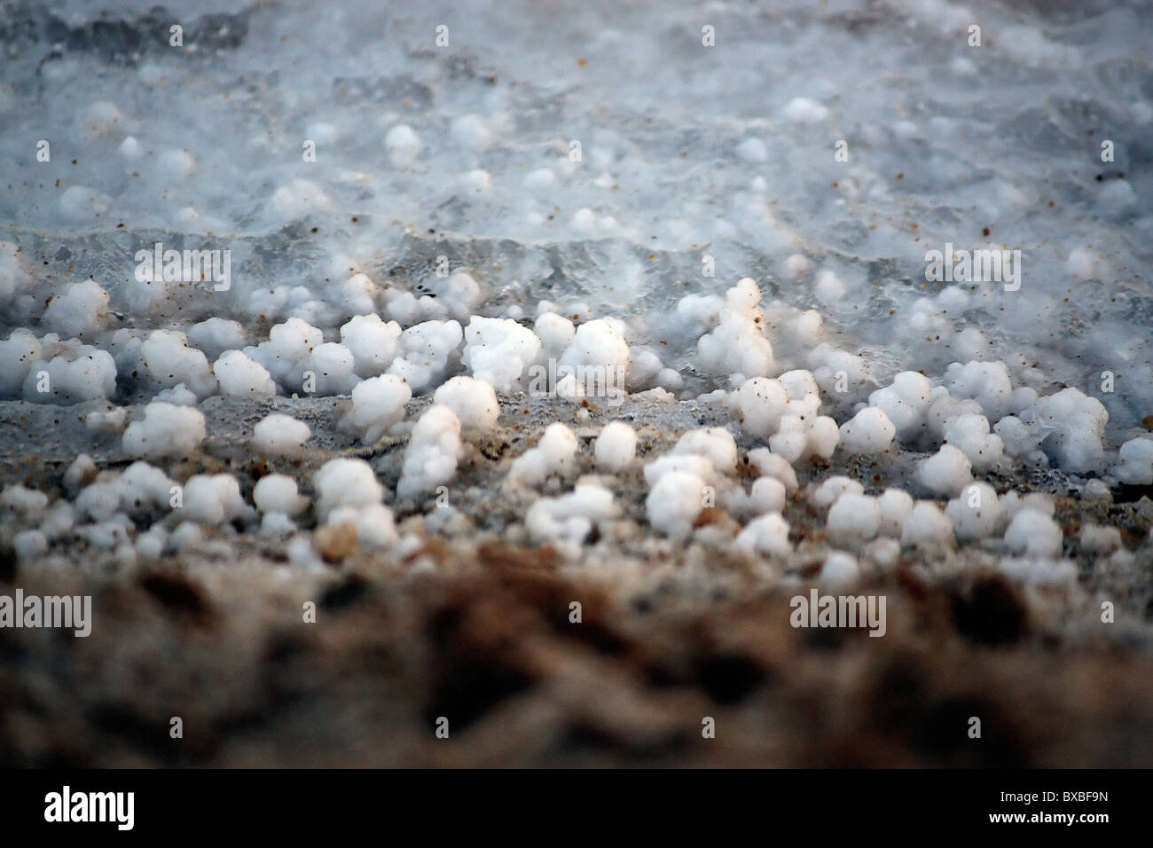 Formation of salt crystals hi-res stock photography and images - Alamy
