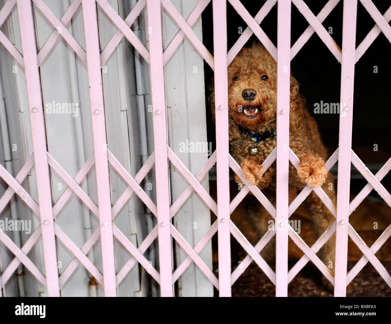 Bangkok bars hi-res stock photography and images - Alamy