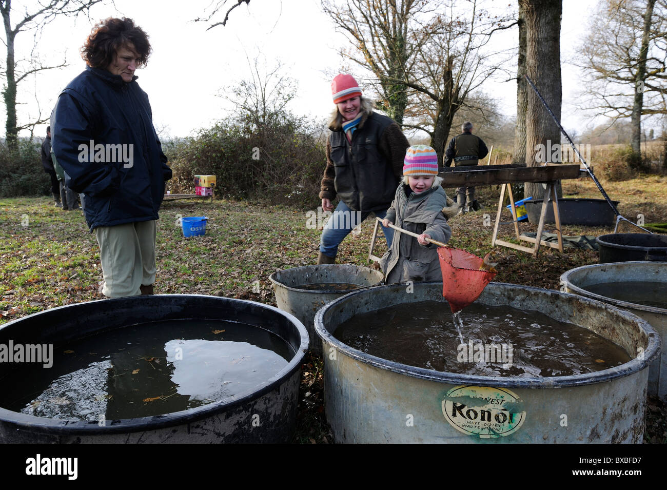 Child helping to sort the fish after the lake had been emptied and ...