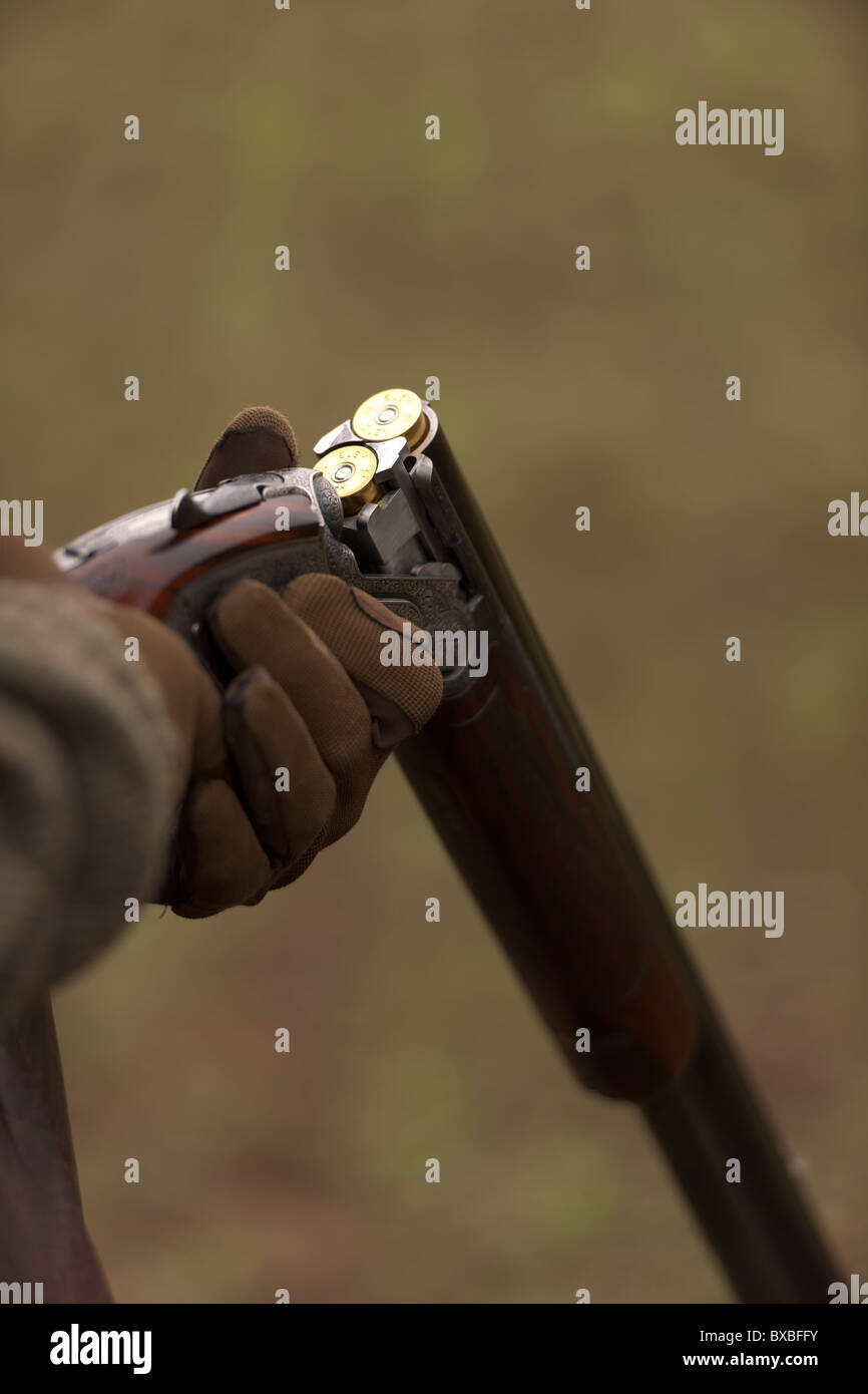 Stock shoot hi-res stock photography and images - Alamy