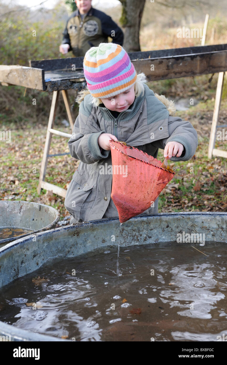 Child helping to sort the fish after the lake had been emptied and ...