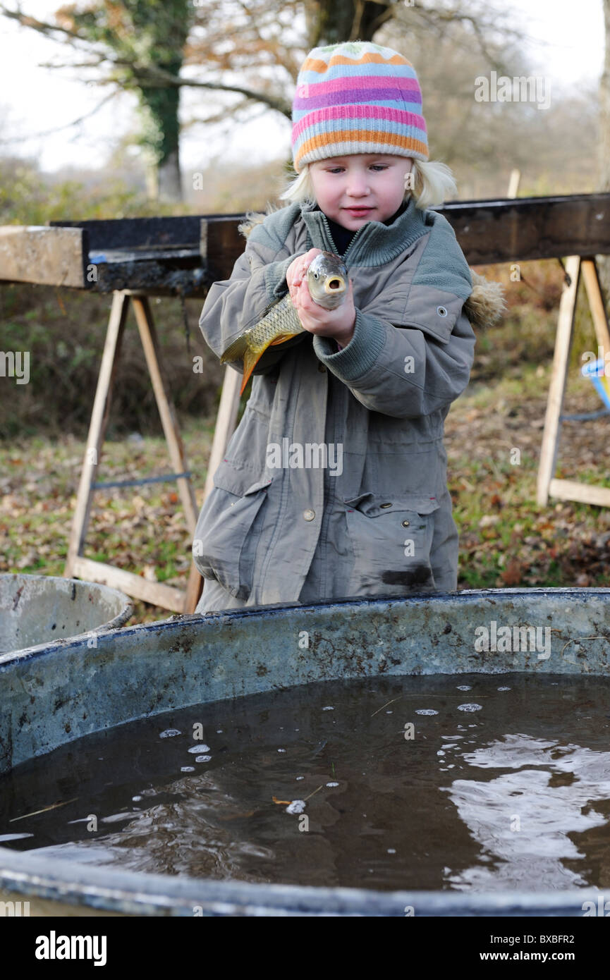 Child helping to sort the fish after the lake had been emptied and ...