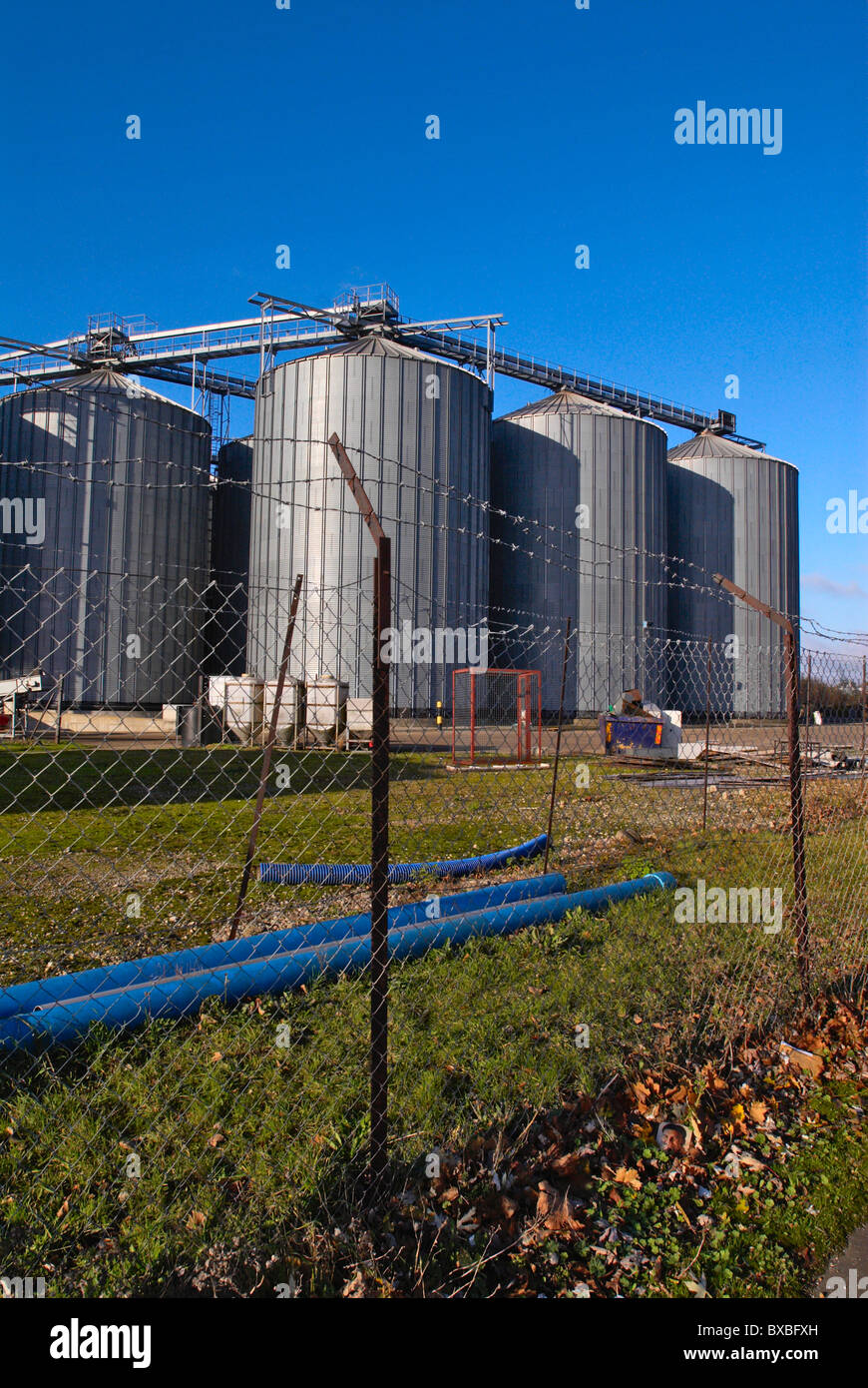 Malting production factory Witham UK Stock Photo - Alamy