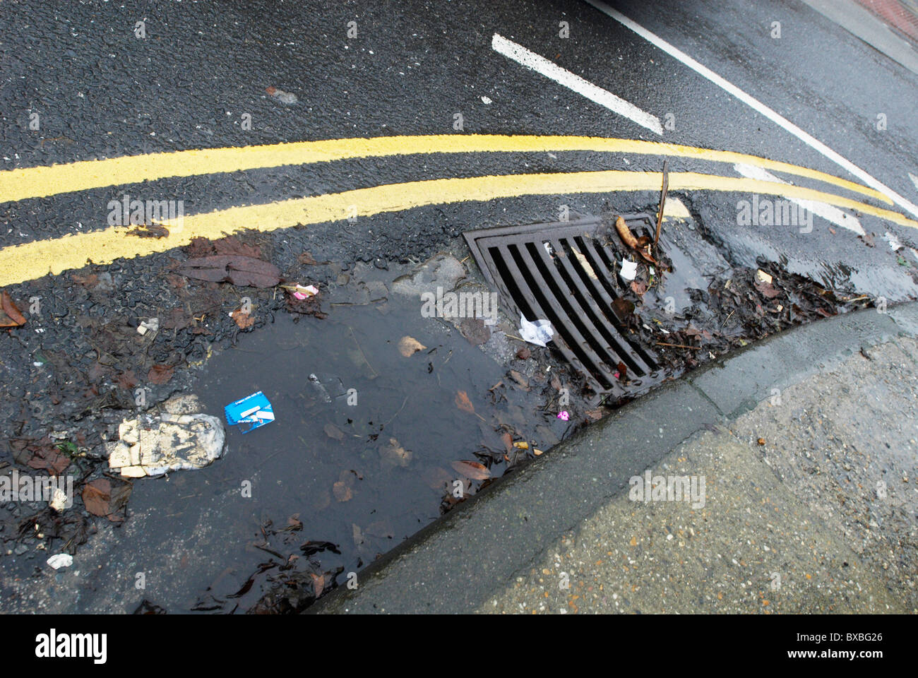 Litter leaves and puddle in gutter by drain Stock Photo - Alamy