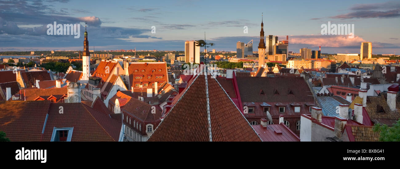 Tallinn skyline panorama with historic buildings on the foreground and ...
