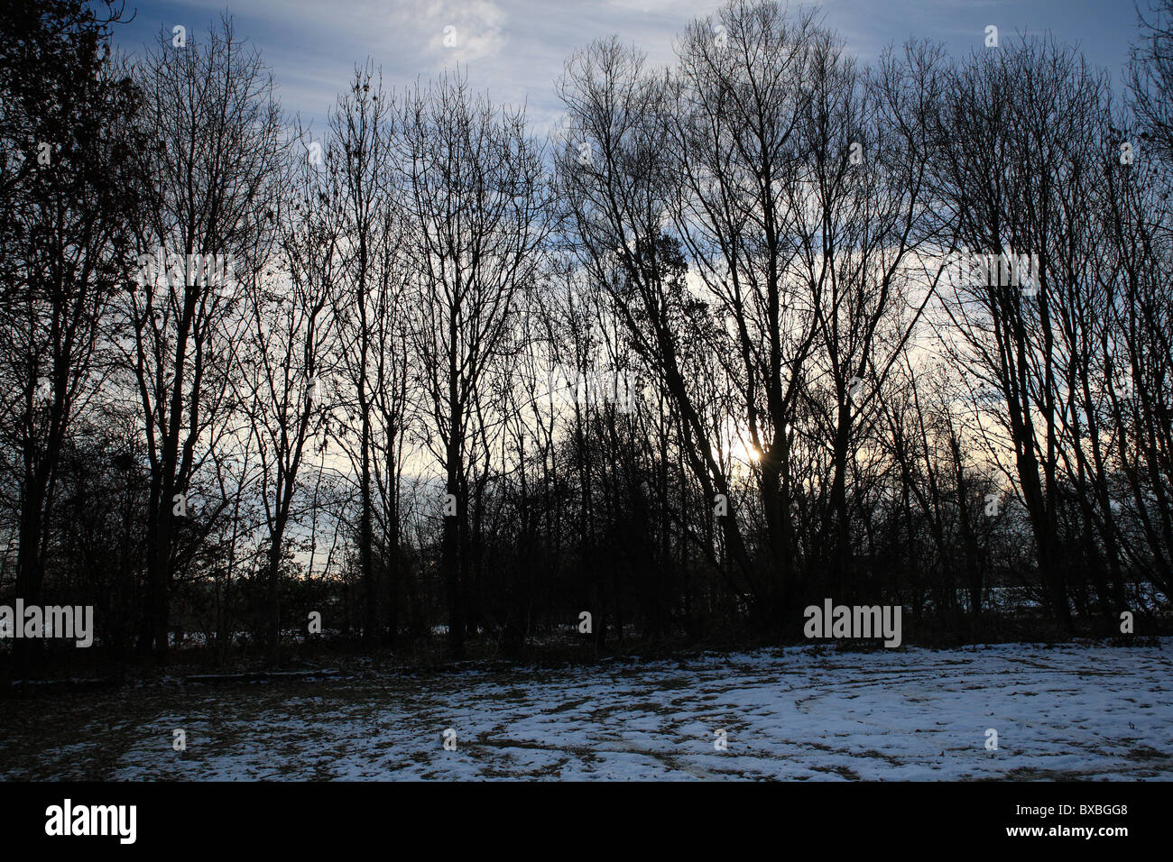 Winter Parkland Scenes Nottingham England Stock Photo - Alamy