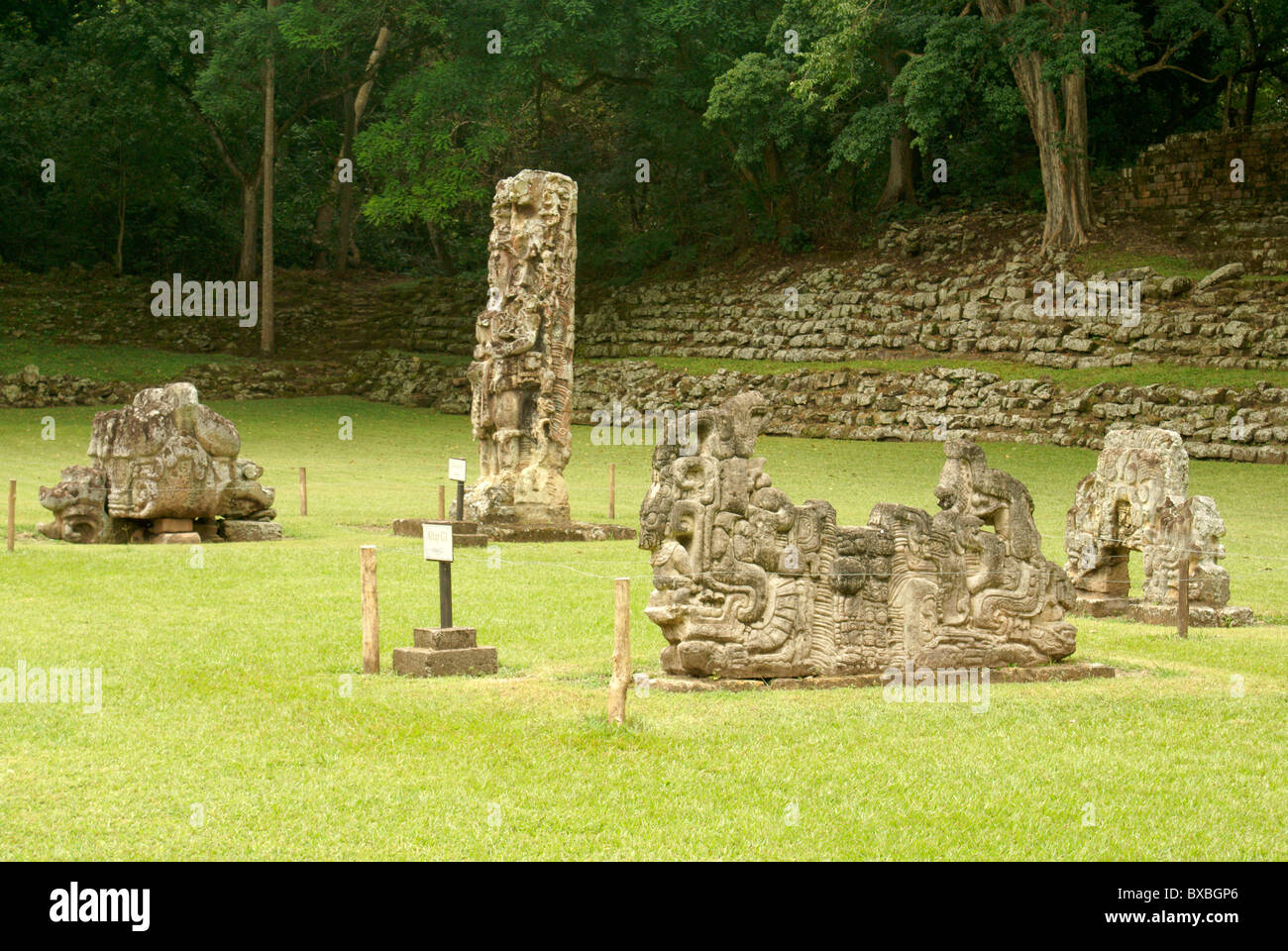 Stela and altars in the Sculpture Garden at the Mayan ruins of Copan ...