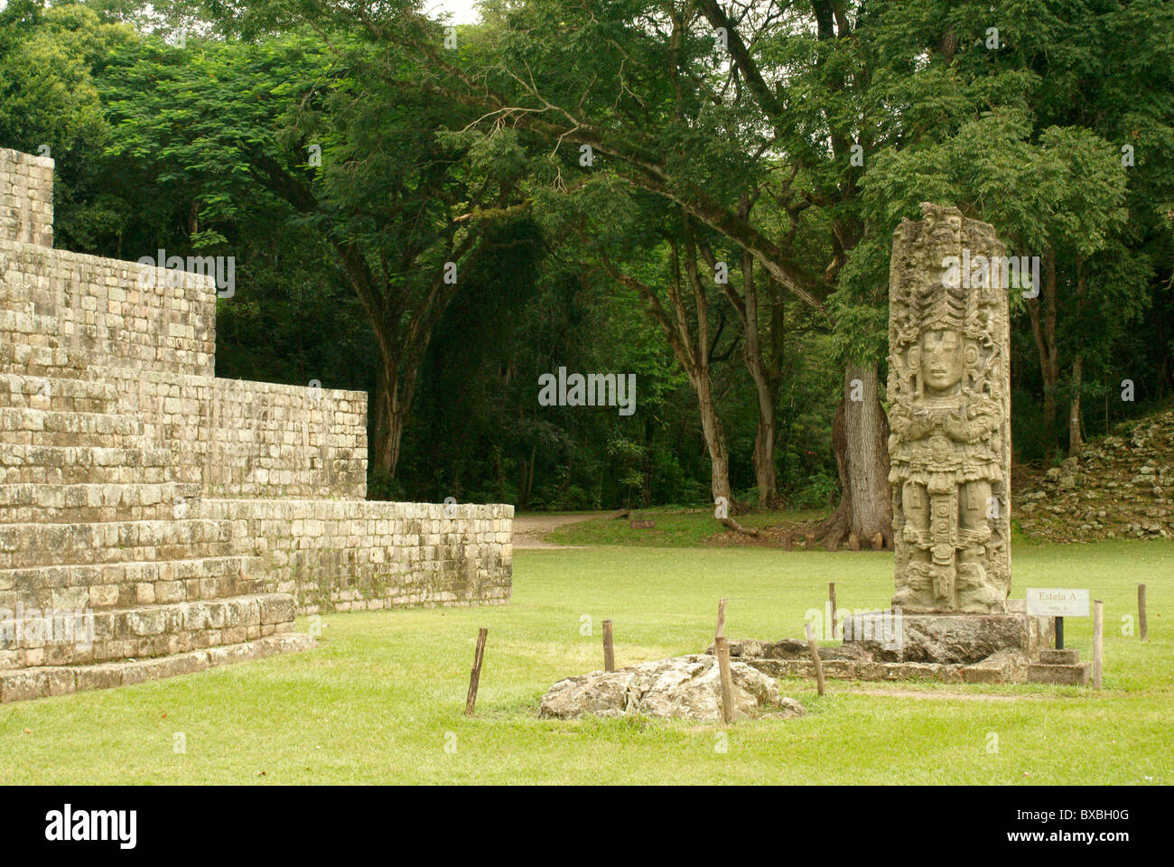 Stela A and altar at the Mayan ruins of Copan, Honduras. Copan is a ...