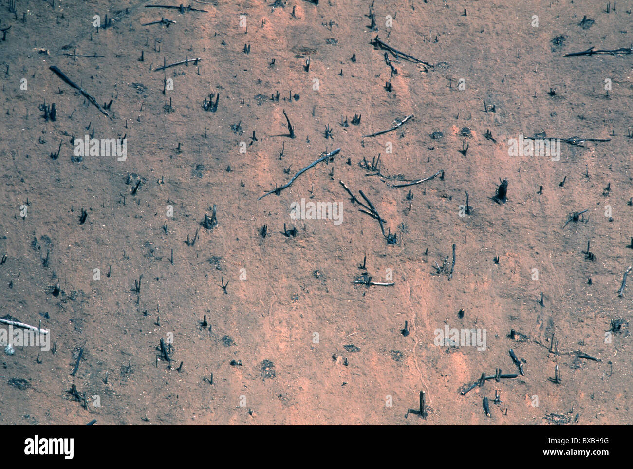 CHINA. DEFORESTATION IN SICHUAN PROVINCE Stock Photo - Alamy