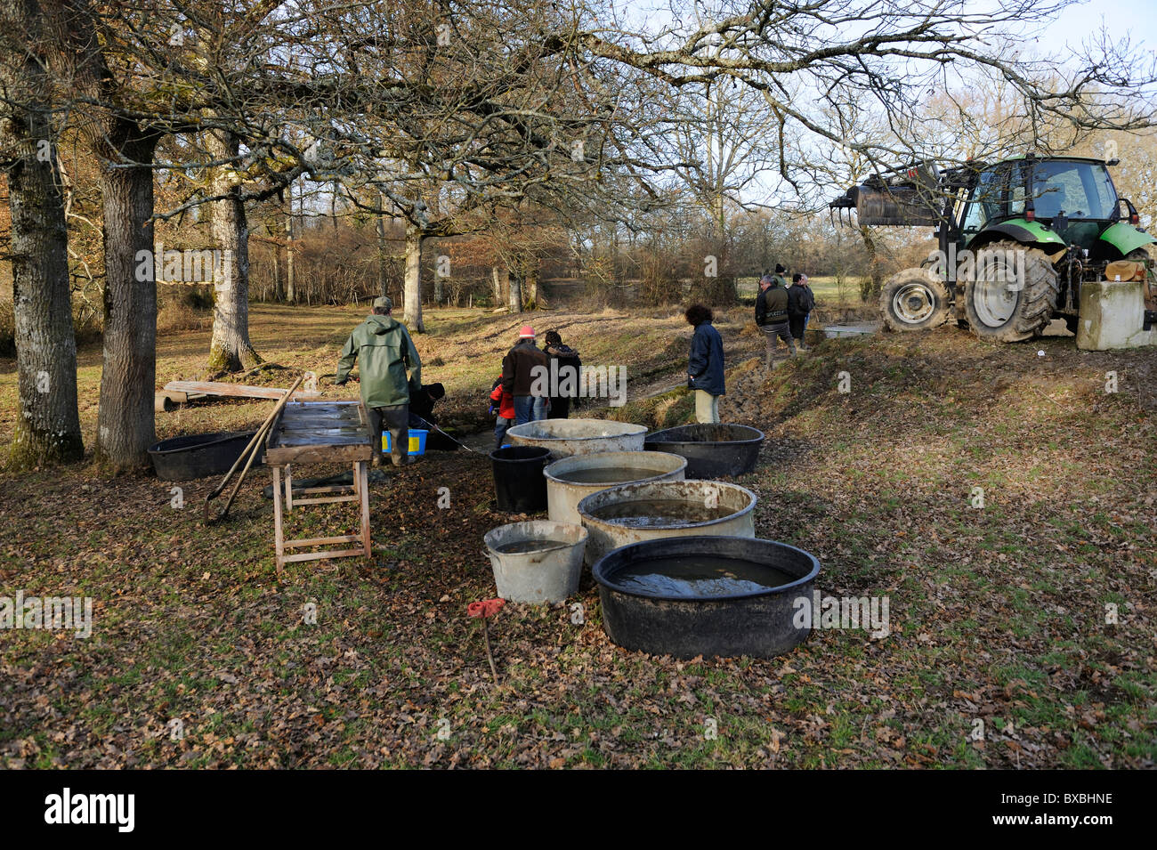 Fishermen preparing to sort the fish from a lake which is to be emptied ...