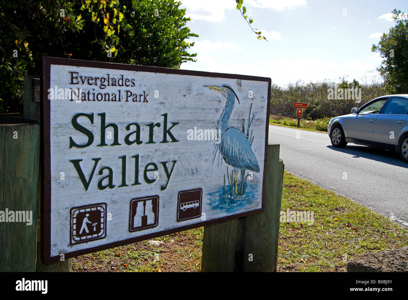 Everglades National Park Shark Valley, Florida everglades Stock Photo ...