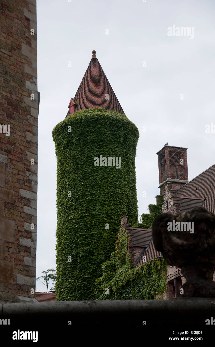 A building covered in Ivy in Brussels, Belgium Stock Photo - Alamy