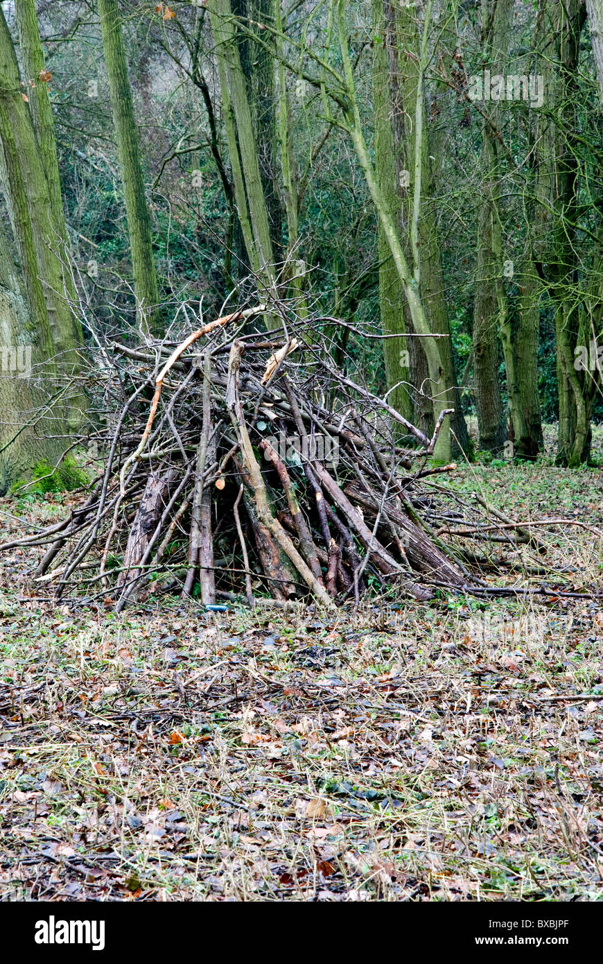 Pile of twigs and branches hi-res stock photography and images - Alamy