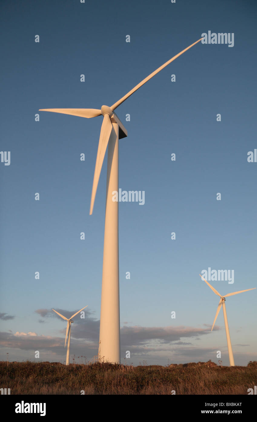Three wind turbines at the Carnsore Point windfarm, County Wexford ...