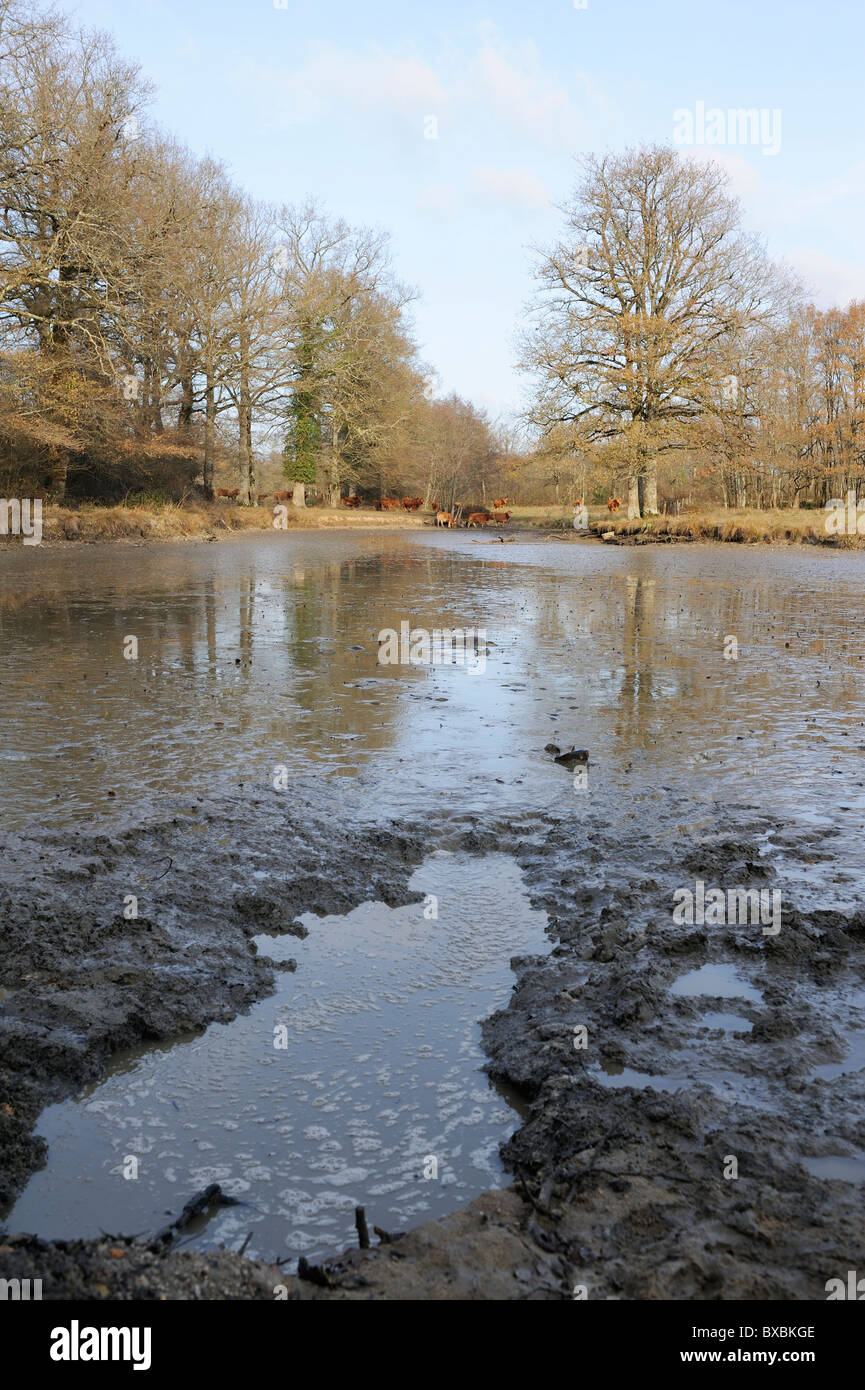 French fishing lake being cleaned Stock Photo - Alamy
