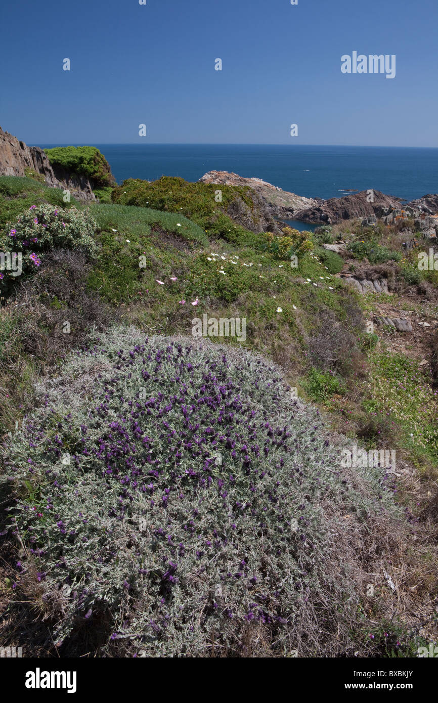 Punta de Cap de Creus, Natural Park of Creus Cape (Cabo de Creus ...