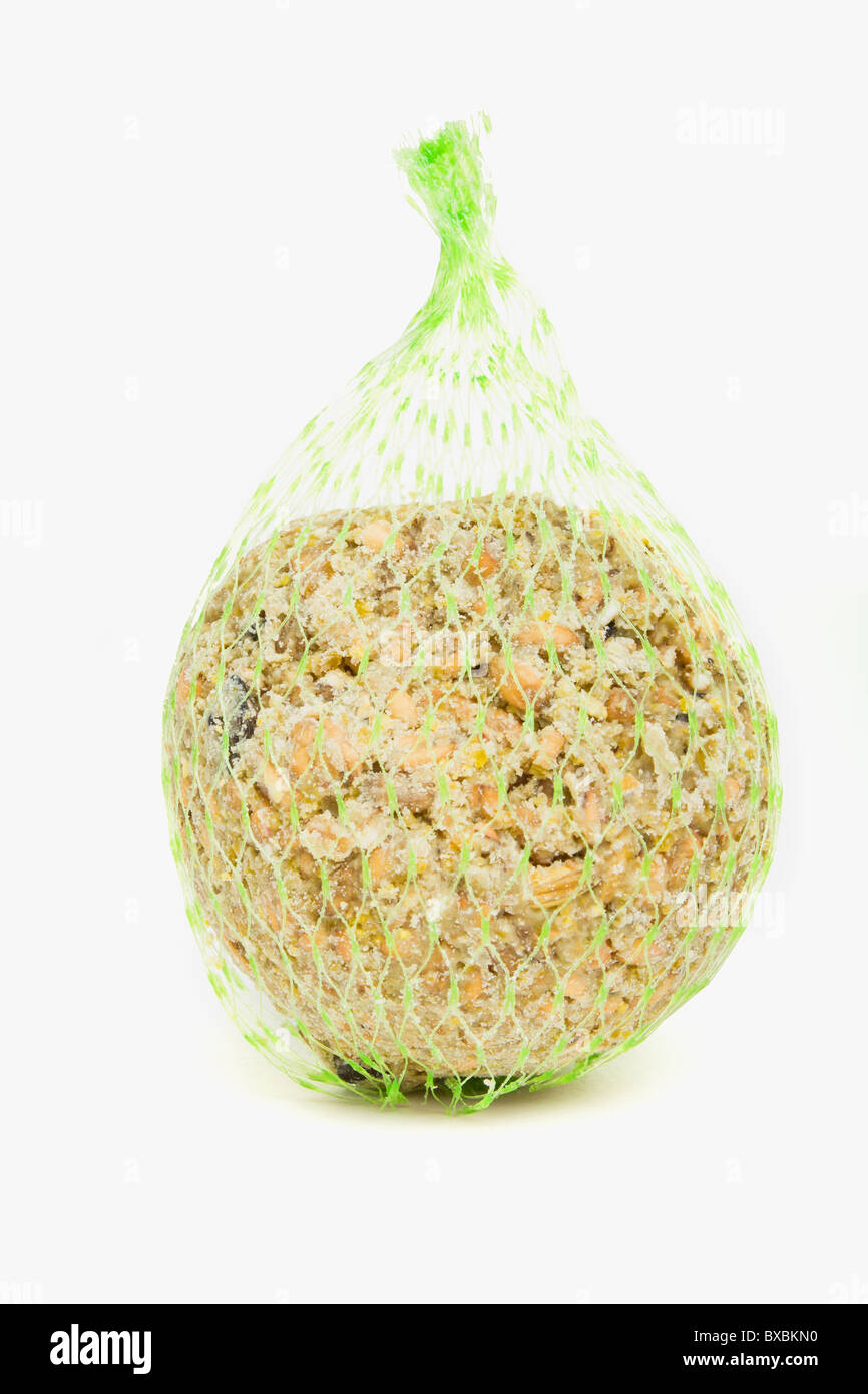 Fat birds hi-res stock photography and images - Alamy