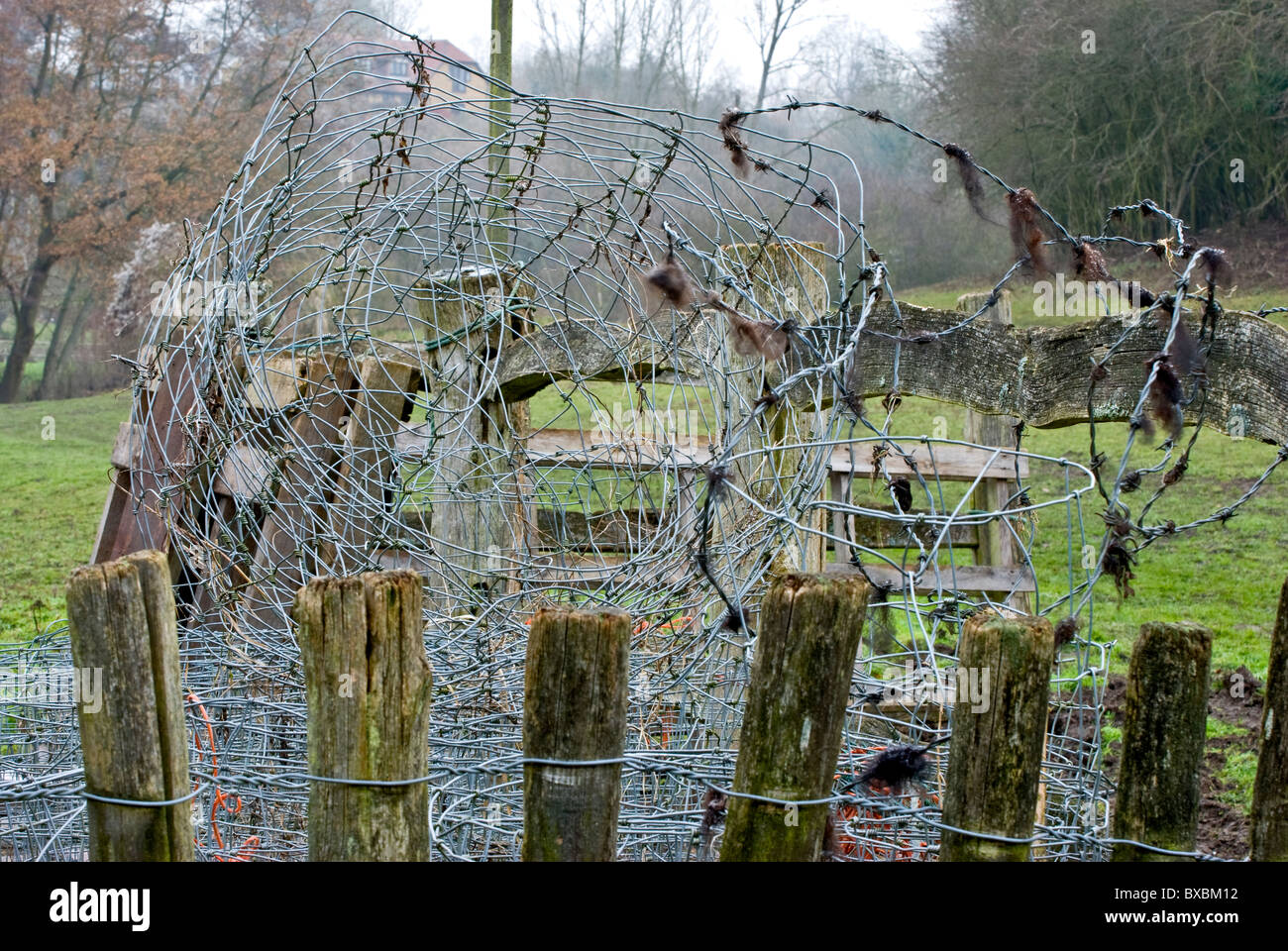 Rolls of wire behind a fence Stock Photo - Alamy