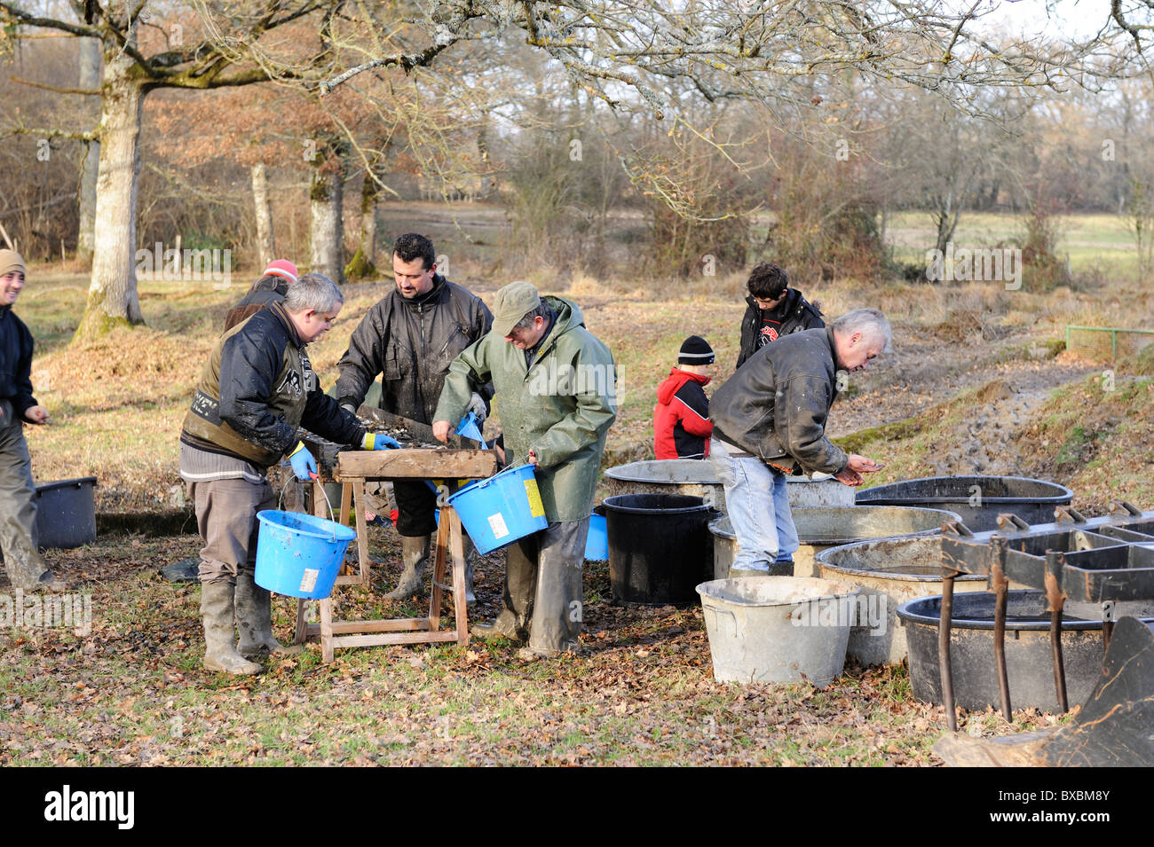 Fish Sorting Table High Resolution Stock Photography and Images - Alamy