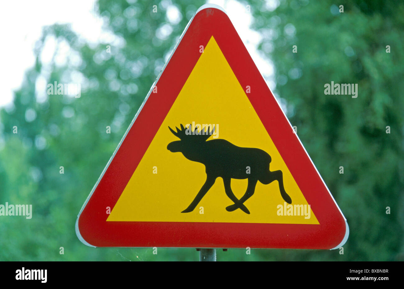 Elch warnschild hi-res stock photography and images - Alamy