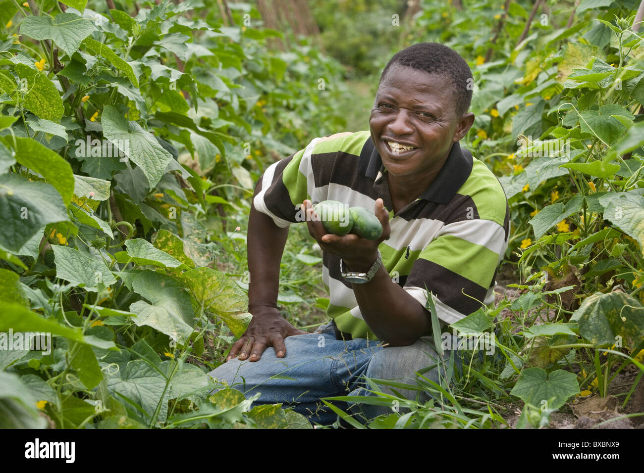 A farmer in Kakata, Liberia displays cucumbers harvested from his field ...