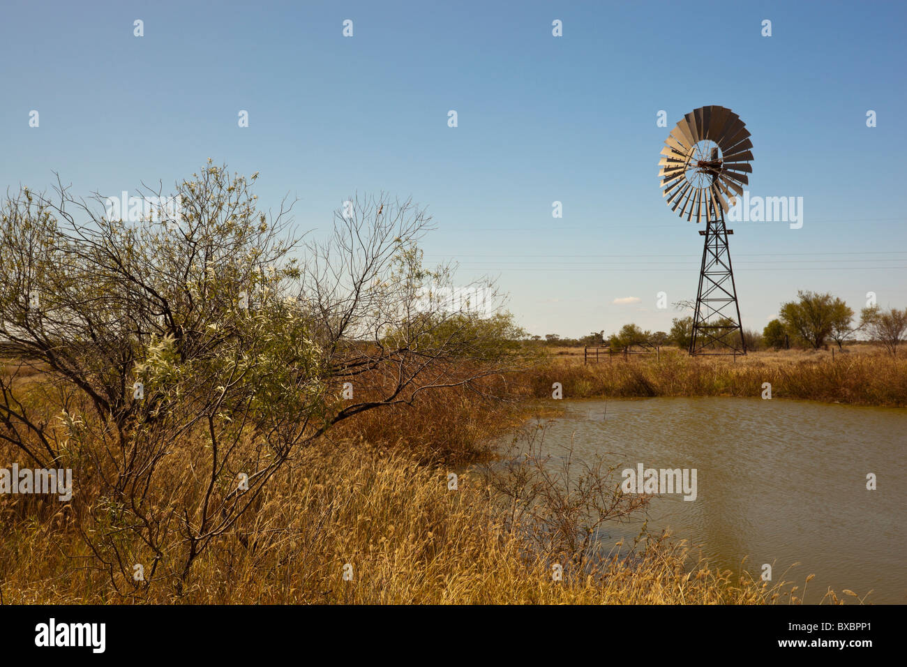 Windmill and waterhole beside the Kennedy Development Road between ...