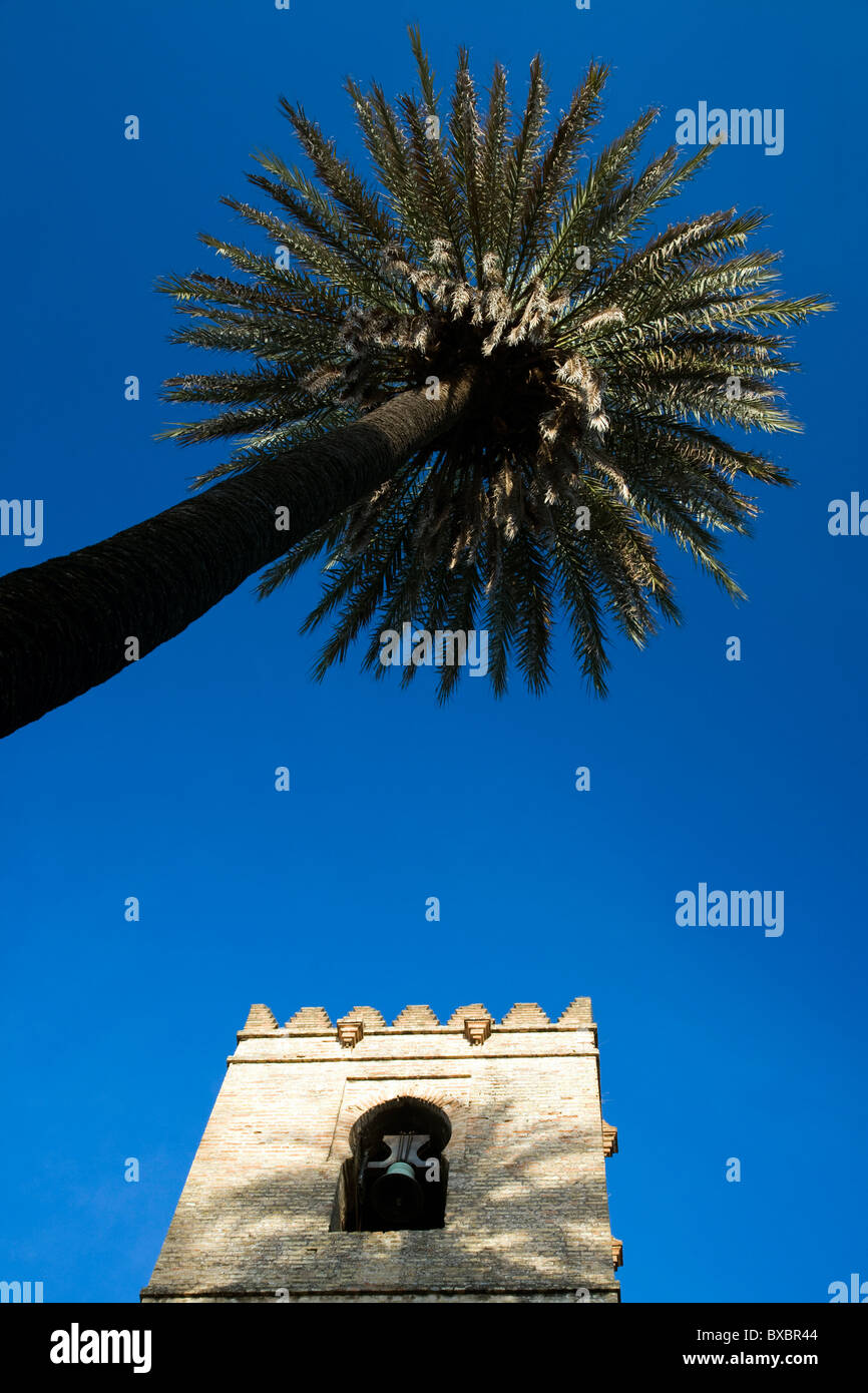 The bell tower of Santa Catalina with a palm tree, Seville, Spain Stock ...