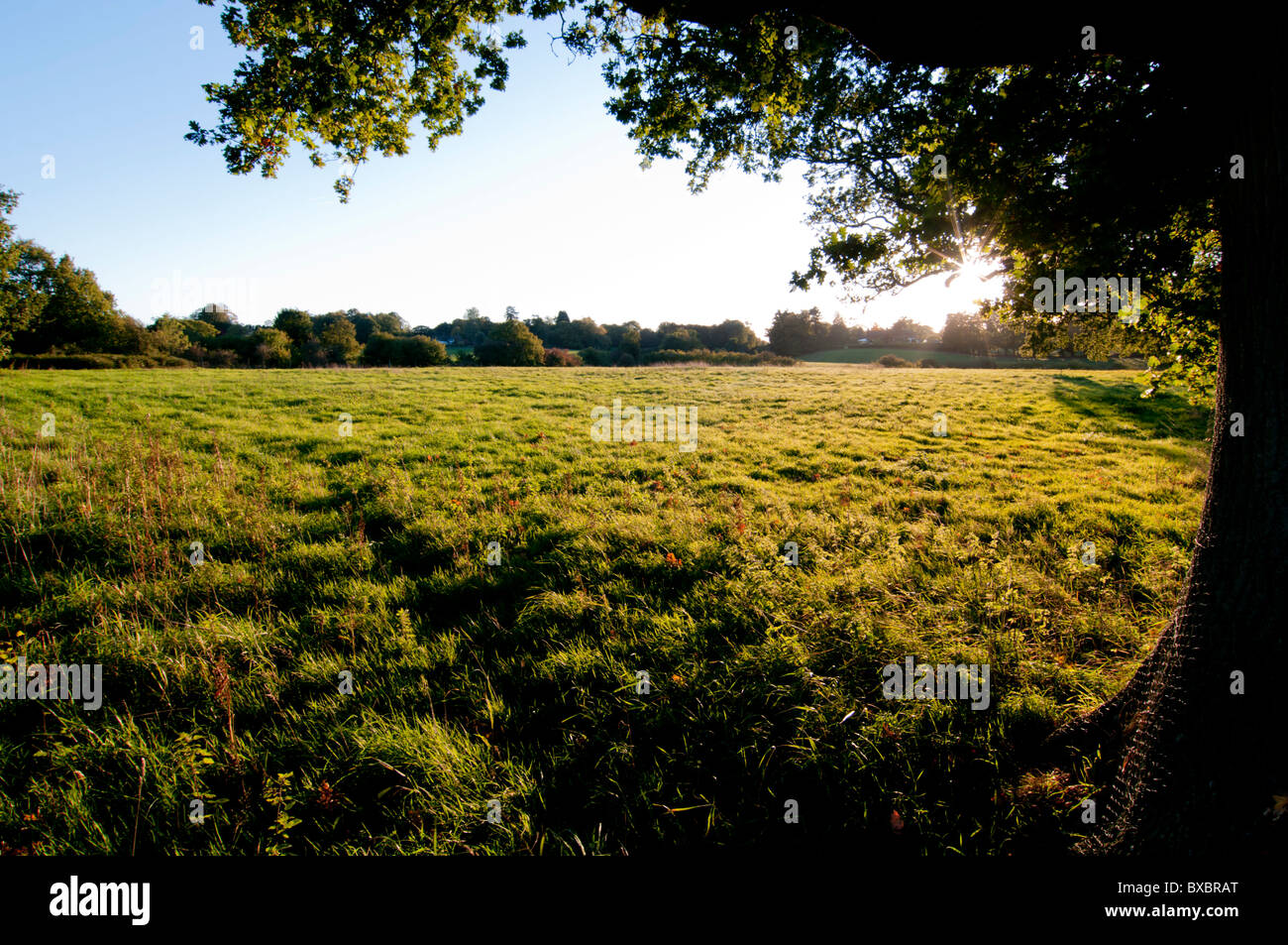 North surrey landscape hi-res stock photography and images - Alamy