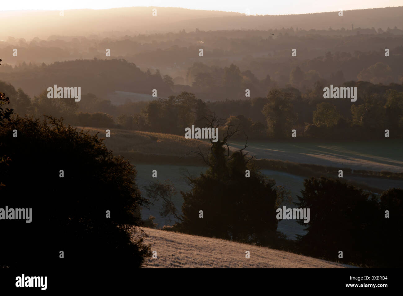 North surrey landscape hi-res stock photography and images - Alamy