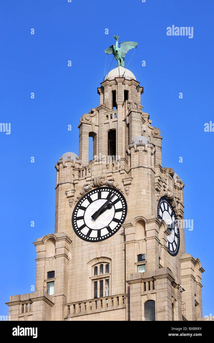 Liverpool clock tower hi-res stock photography and images - Alamy