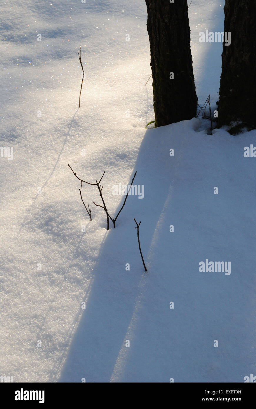 Minimalist still life shadows hi-res stock photography and images - Alamy
