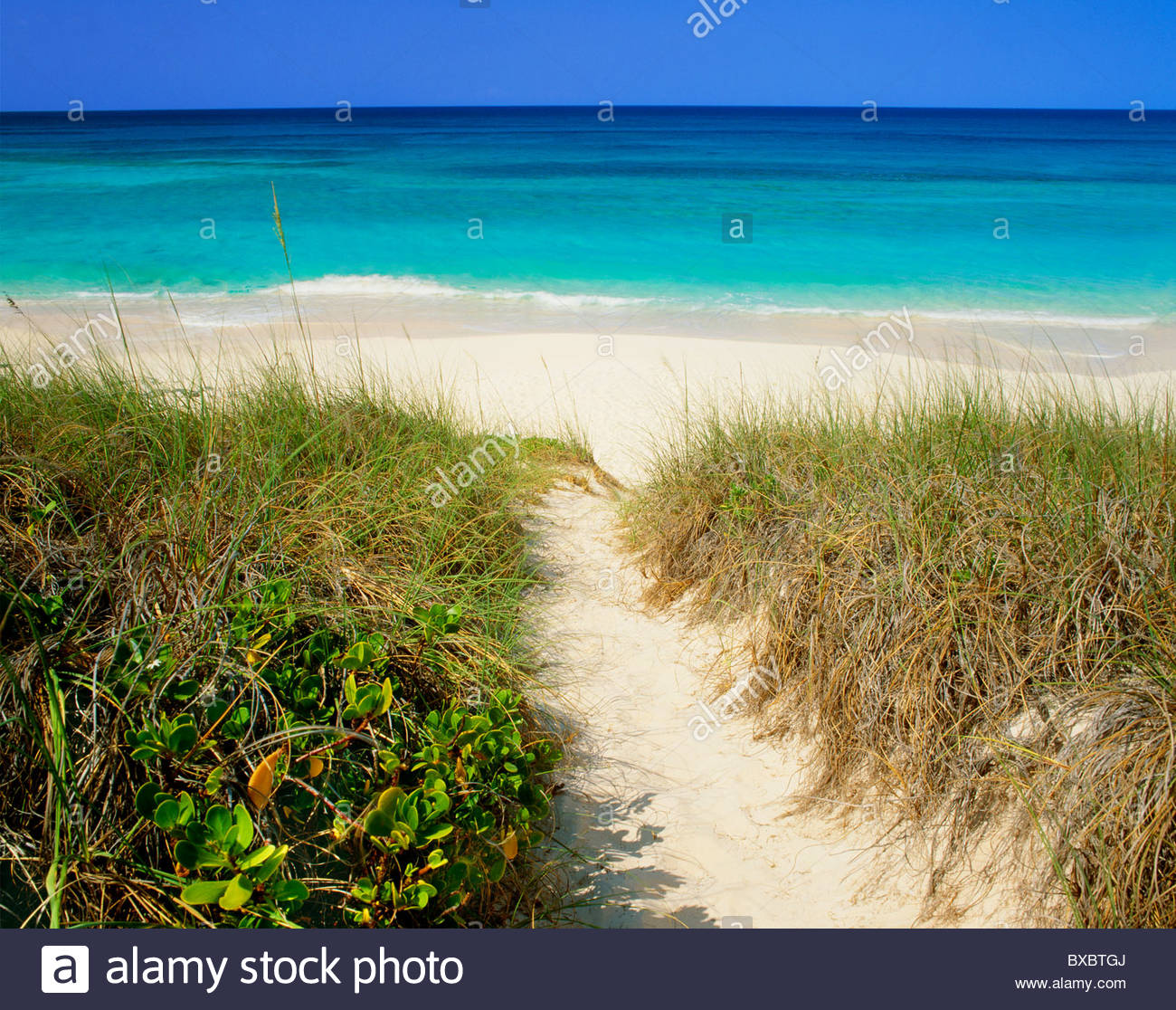 Exuma Cays High Resolution Stock Photography and Images - Alamy