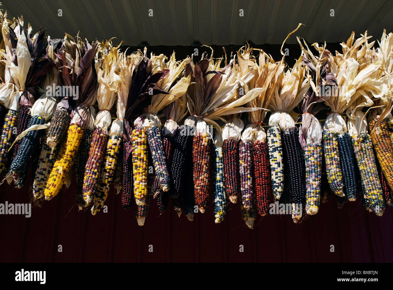 Spotted corn hi-res stock photography and images - Alamy