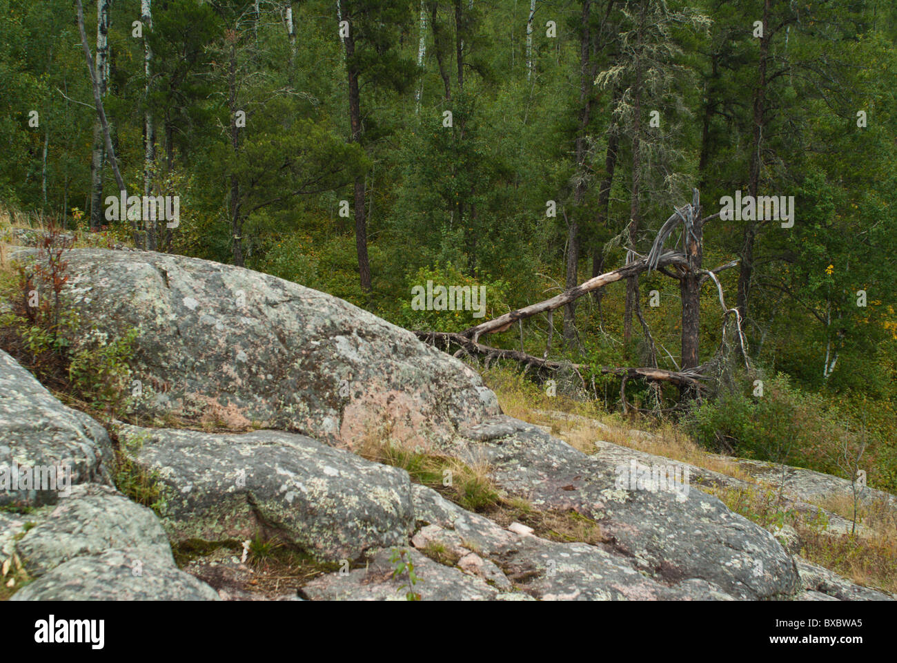 Whiteshell Manitoba Canada Stock Photo - Alamy