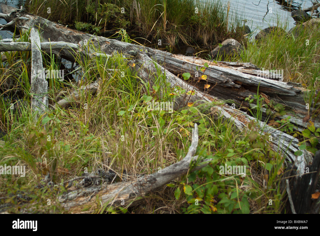 Whiteshell Manitoba Canada Stock Photo - Alamy