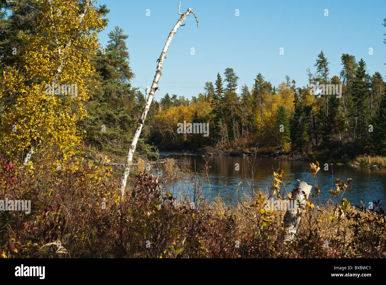 Whiteshell Manitoba Canada Stock Photo - Alamy