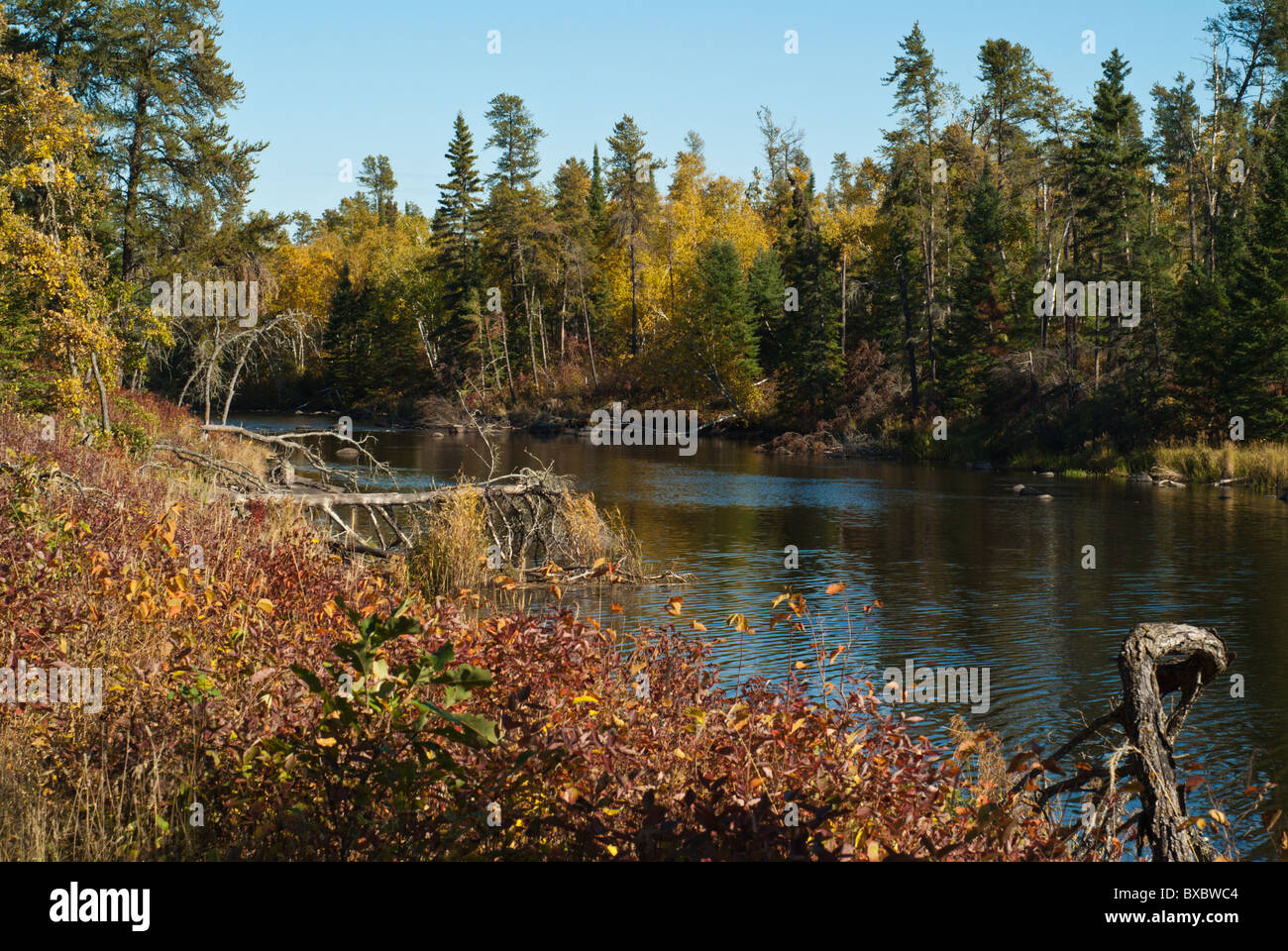 Whiteshell Manitoba Canada Stock Photo - Alamy