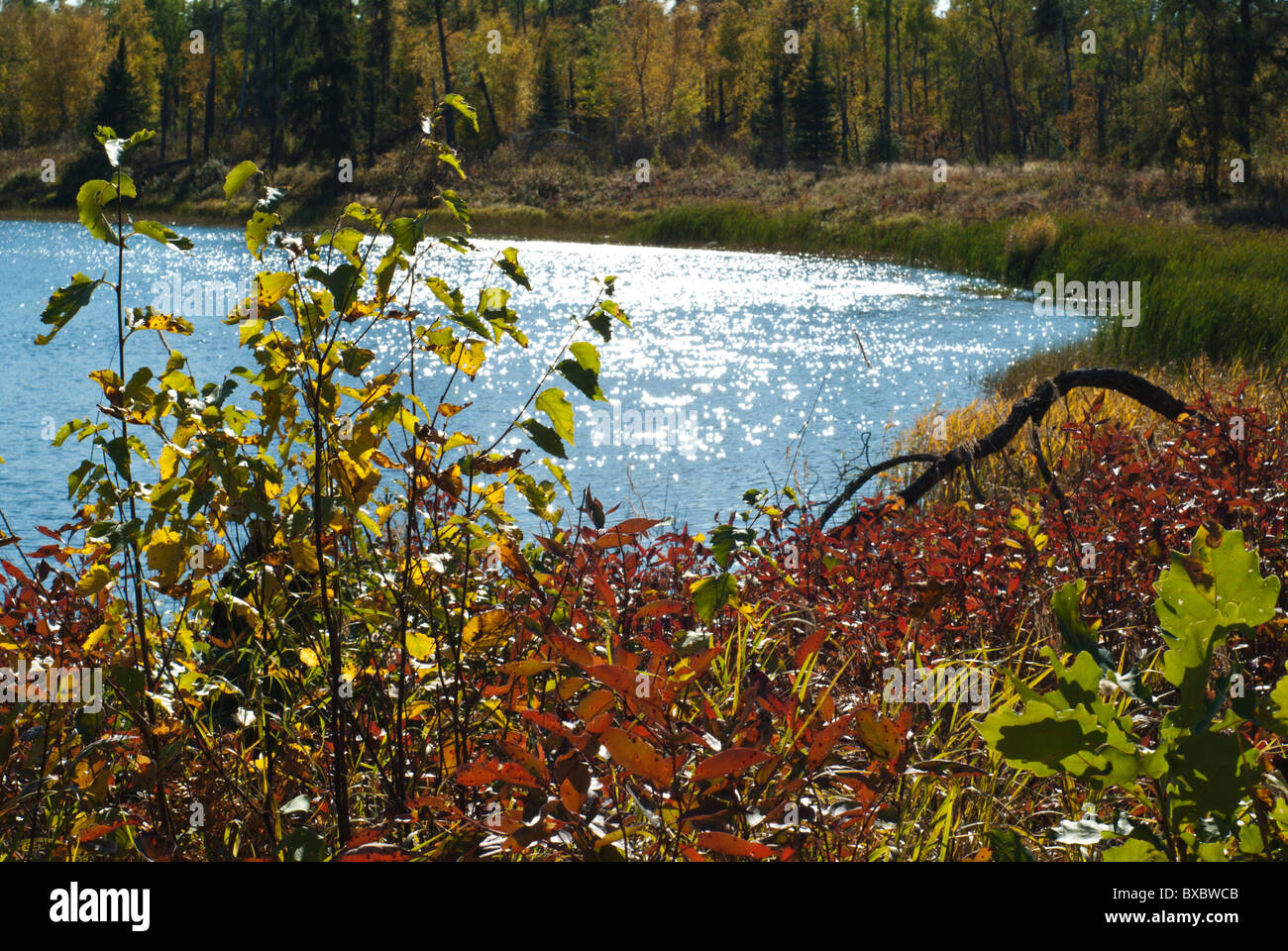 Whiteshell Manitoba Canada Stock Photo - Alamy