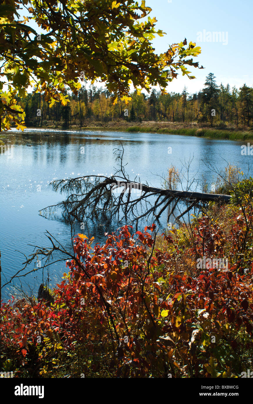 Whiteshell Manitoba Canada Stock Photo - Alamy